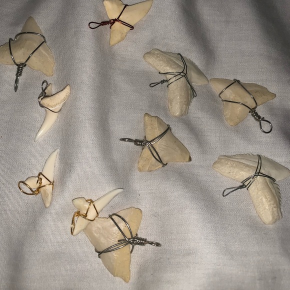 Jewelry | Hand Made Shark Tooth From Hawaii | Poshmark